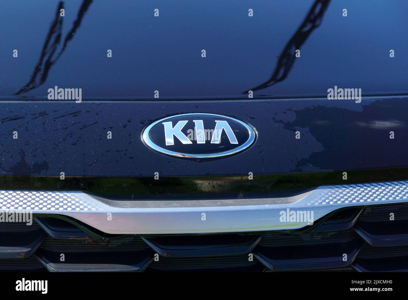 Tyumen, Russia-June 17, 2022: Close-up logo KIA seltos. The front of ...