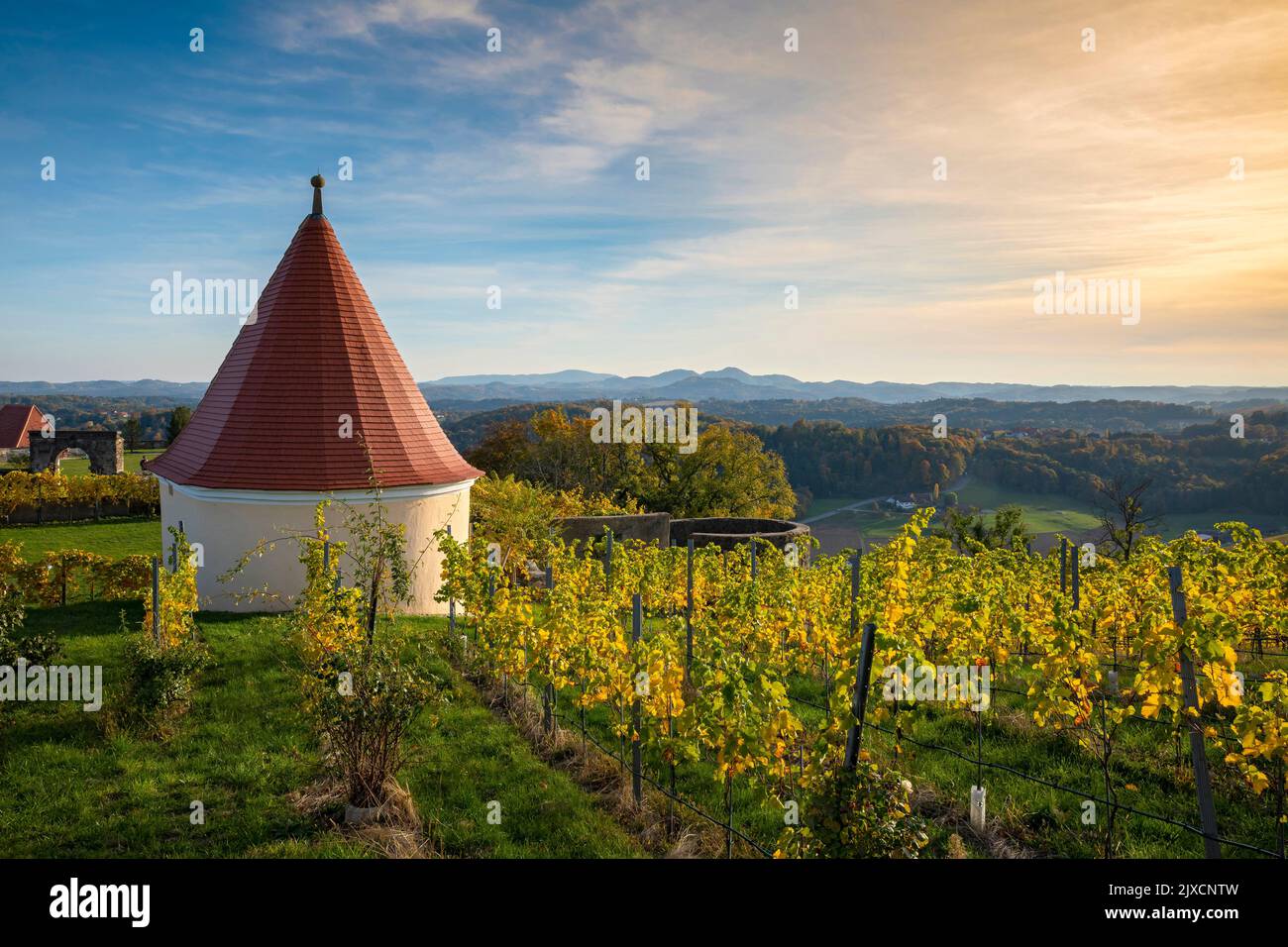 The vineyard of Riegersburg Castle. Styria, Austria Stock Photo - Alamy