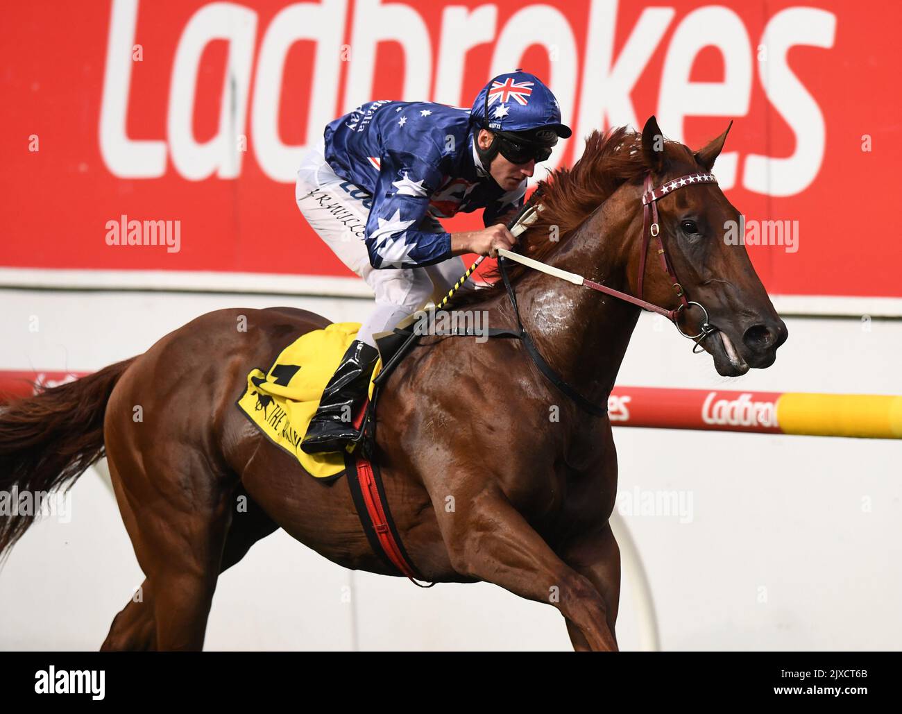 Jockey Brad Rawiller riding Native Soldier wins race 1, the Turf ...