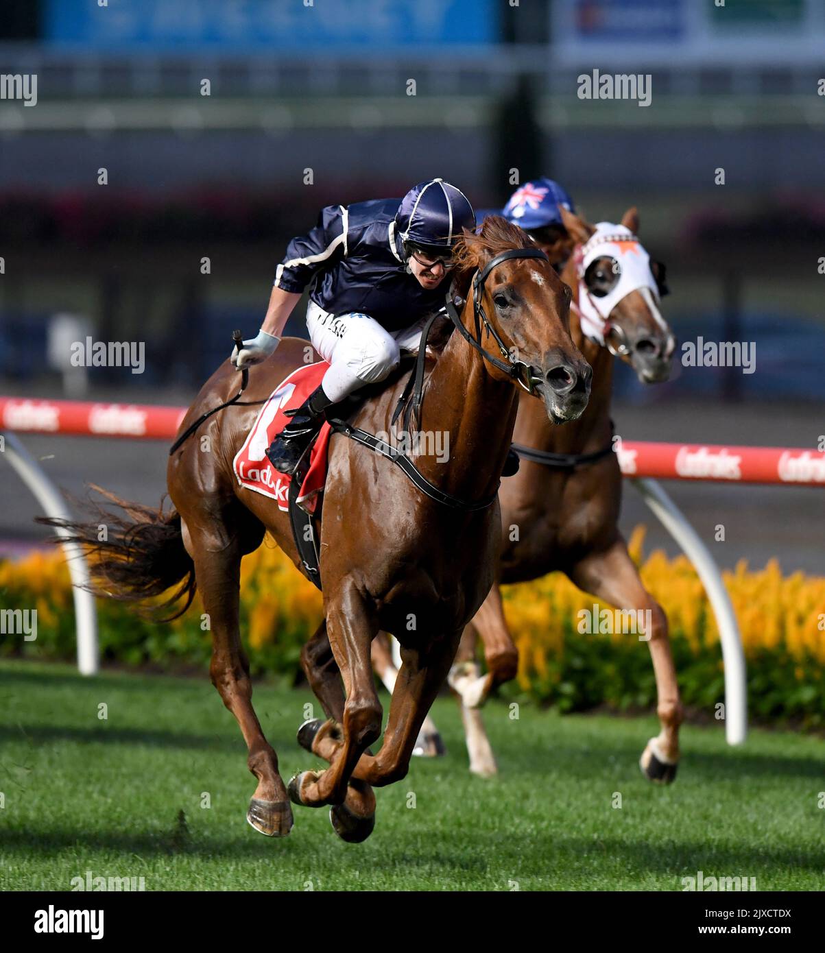 Jockey Billy Egan riding Widgee Turf wins race 5, the Simpson ...
