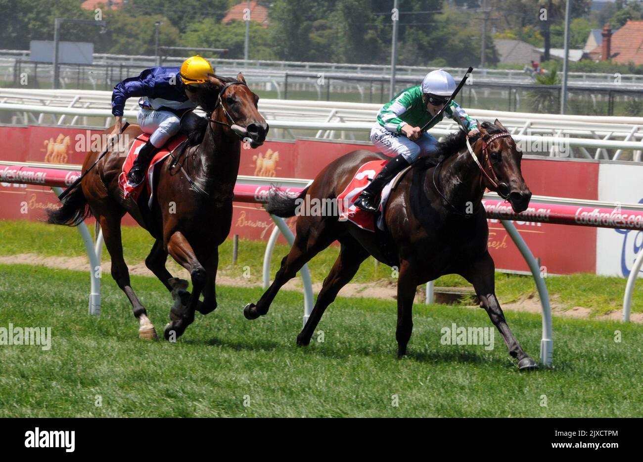 Jockey Ben Allen rides Holy Seal (right) to win race 4, The Blue ...