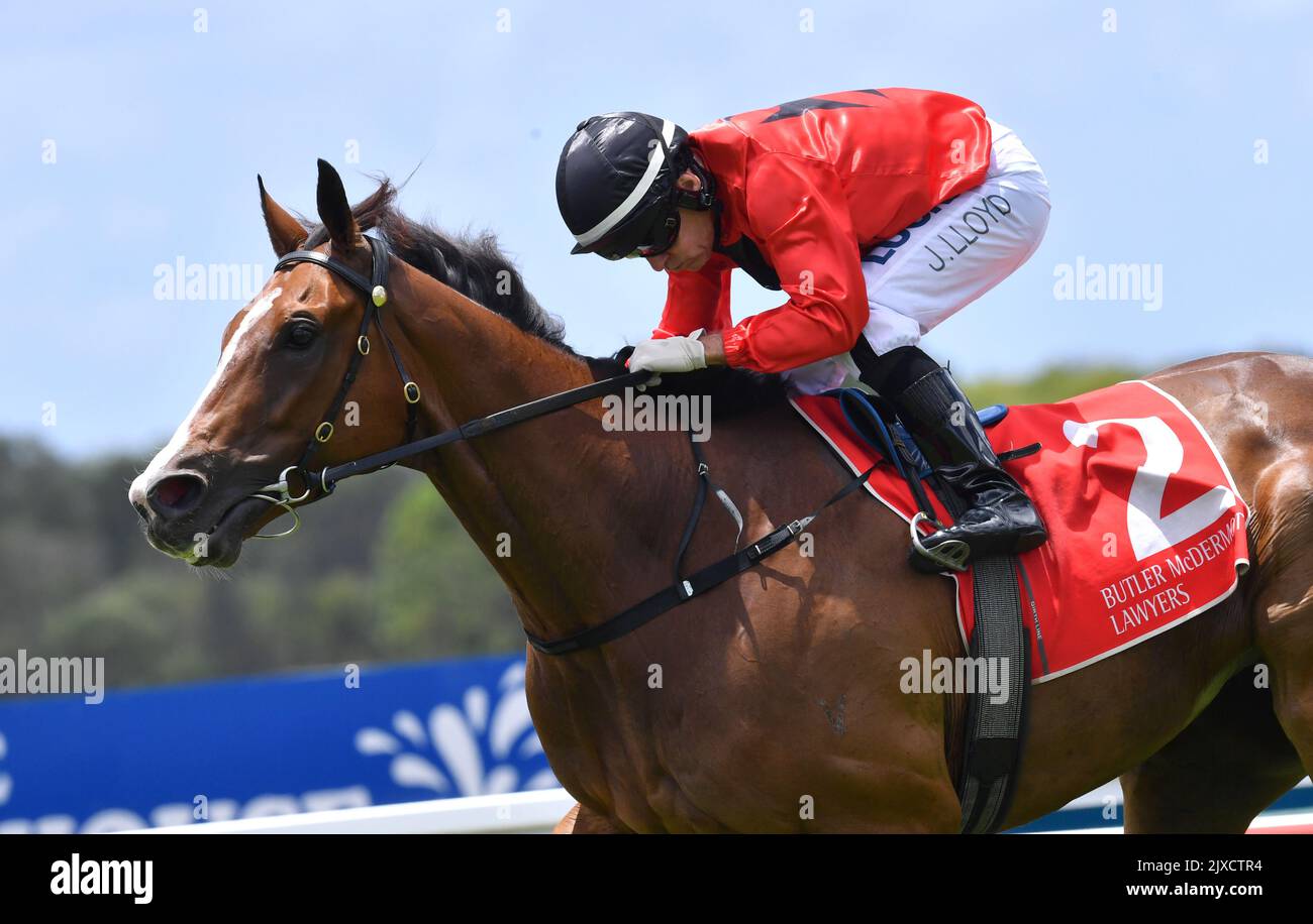 Jockey Jeff Lloyd riding Outraged is seen winning race 1, the Coastline ...