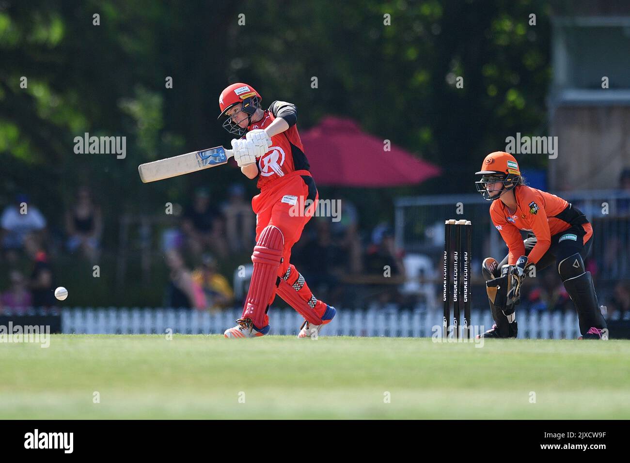 Jess Duffin of the Melbourne Renegades in action during the Womens Big ...