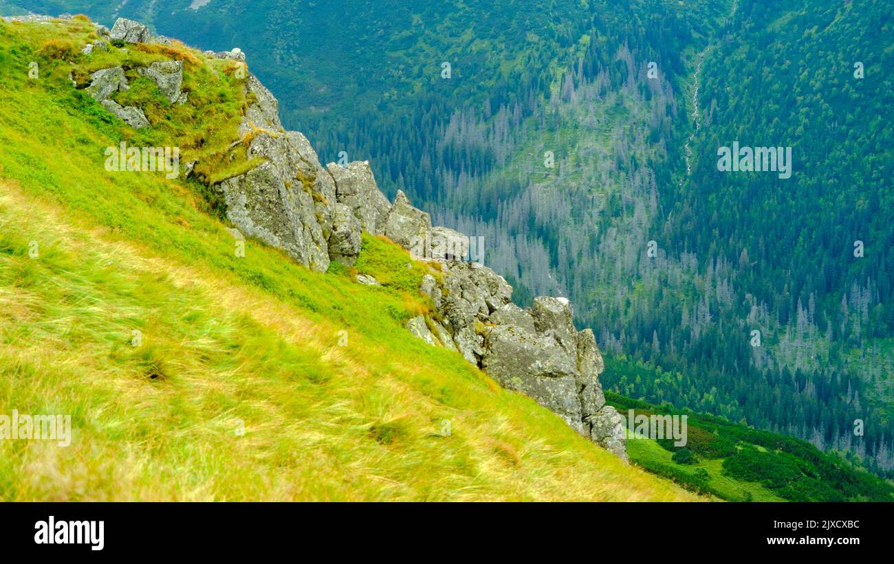 Panoramic view of sunny. A magnificent highland landscape with a ...