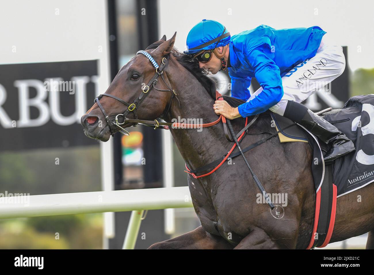 Jockey Tye Angland riding Marmaris to win race 1, the Win $10K Cash at ...