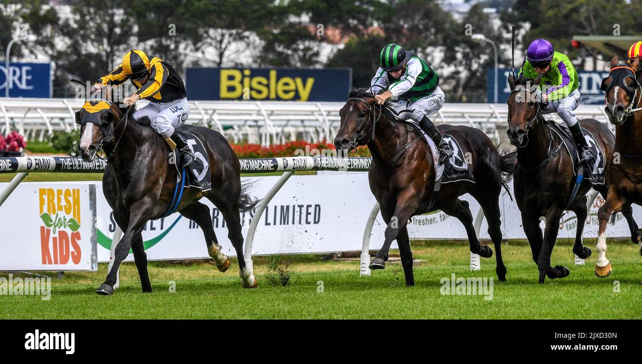 Jockey Tim Clark (left) riding Trapeze Artist to win race 7 the Sydney ...