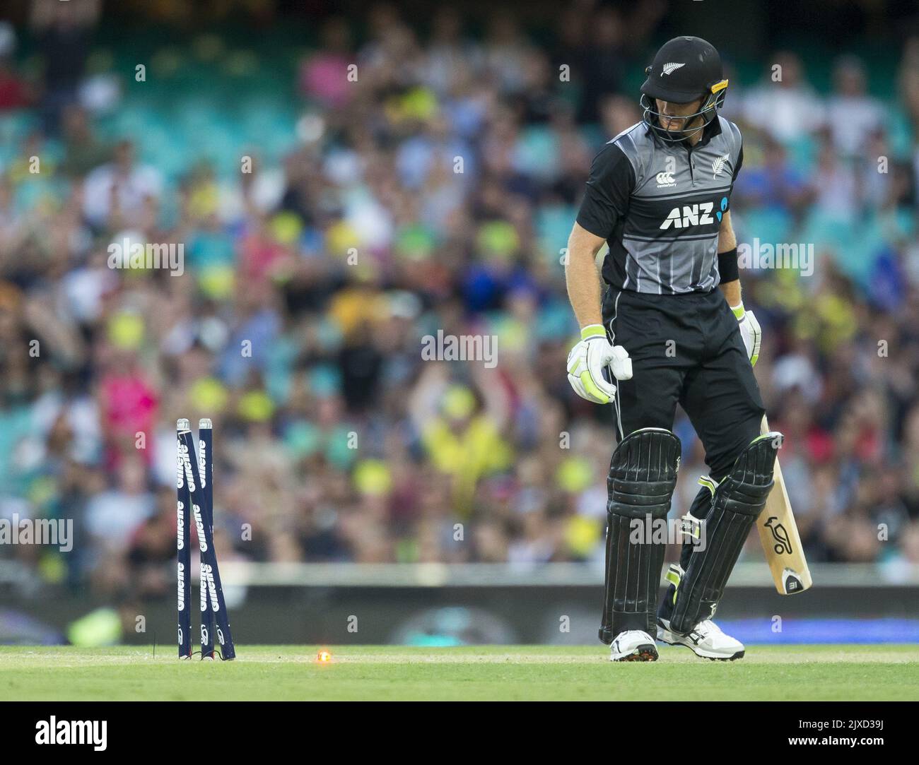 Billy Stanlake of Australia Martin Guptill of New Zealand during the ...