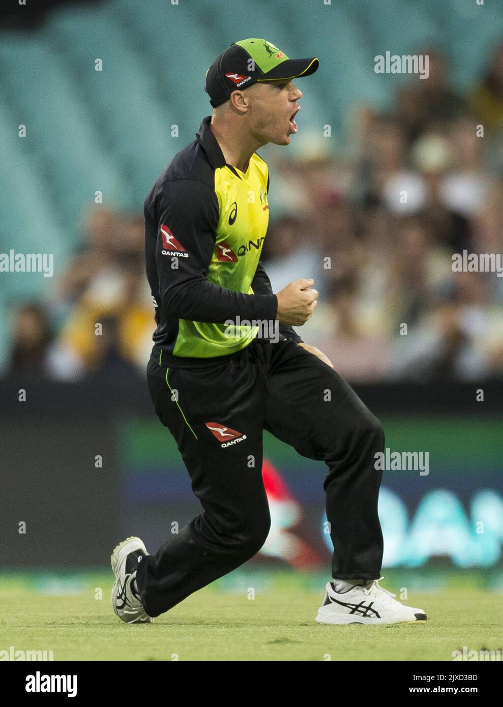Kane Williamson of New Zealand is caught by David Warner of Australia ...