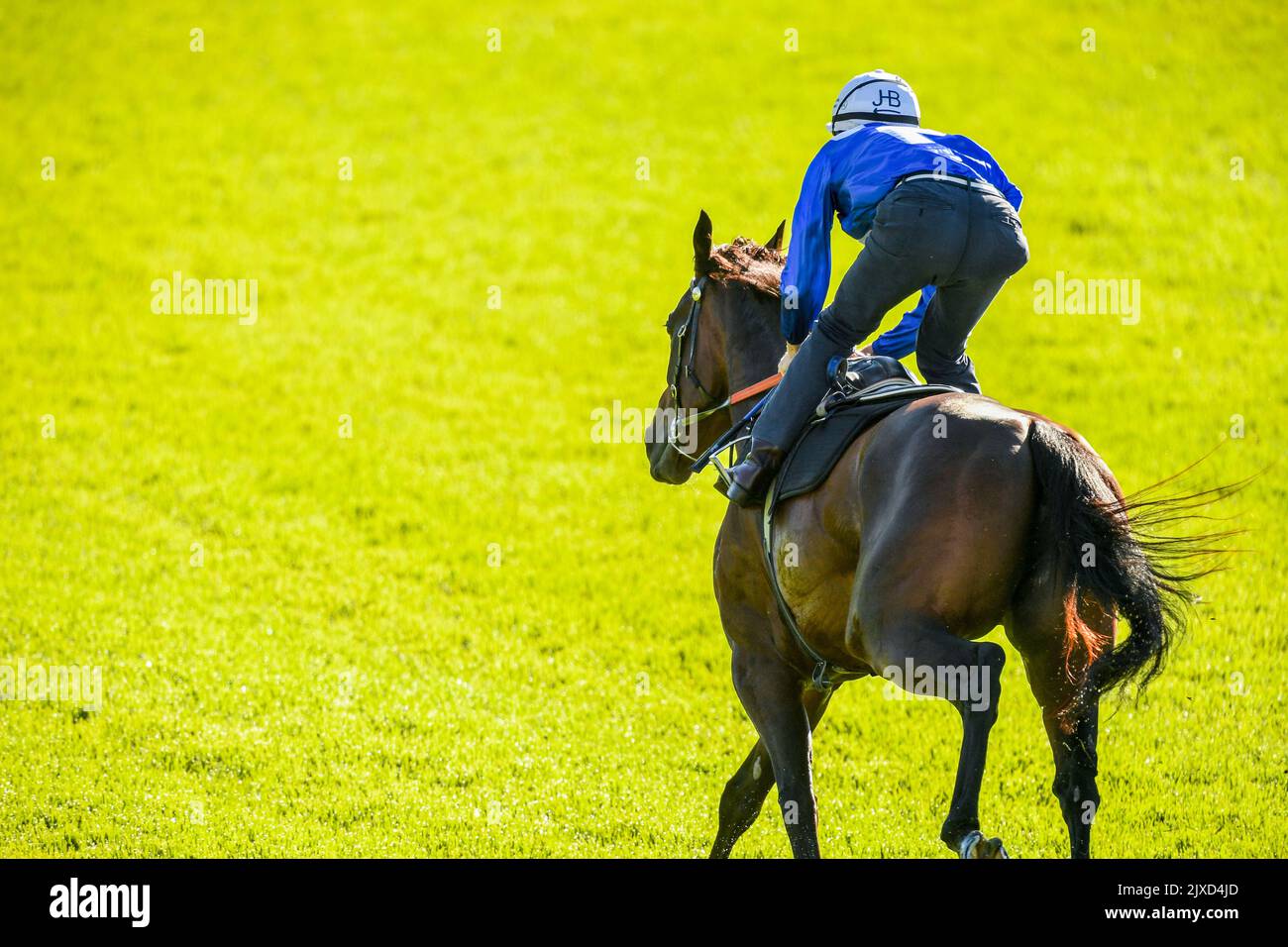 Jockey Hugh Bowman riding Winx in a Barrier Trial Rosehill Rasecourse ...