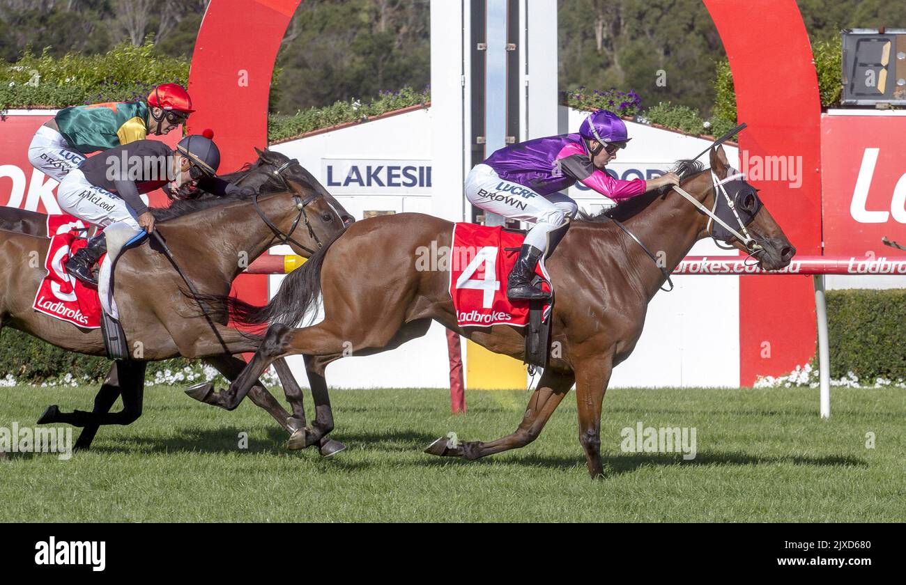 Jockey Ethan Brown rides Stylish Missile to win Race 4, the Sheen Group ...