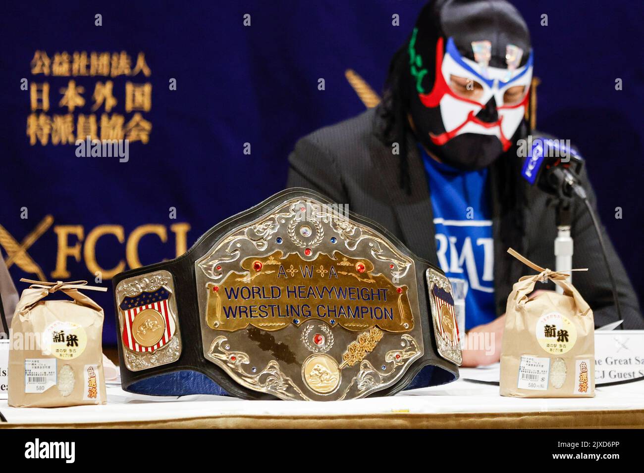 Wcw Light Heavyweight Championship
