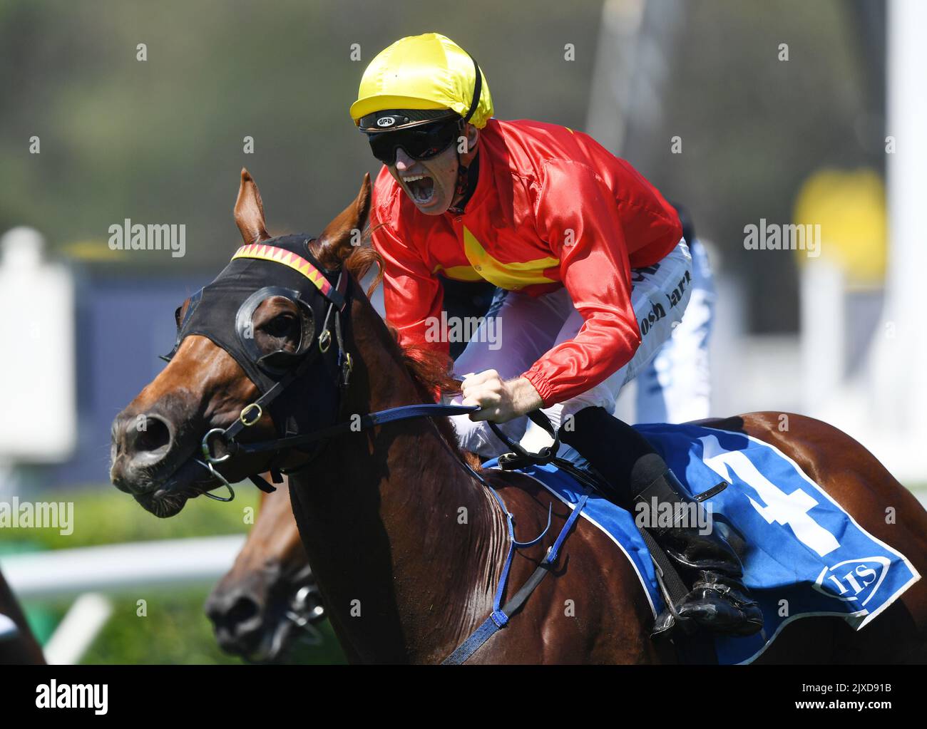 Jockey Joshua Parr on The Enzo reacts to winning race 5, the Inglis ...