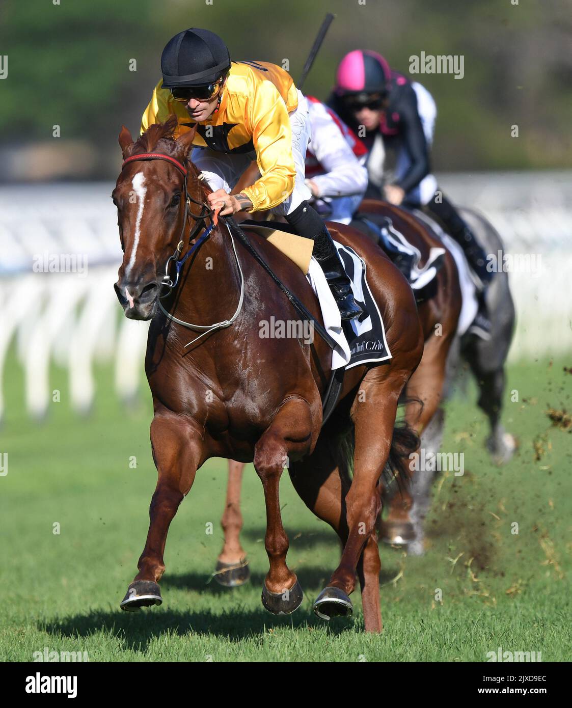 Fickle Follyridden by Corey Brown wins race 9, the Sledmere Stud Dash ...