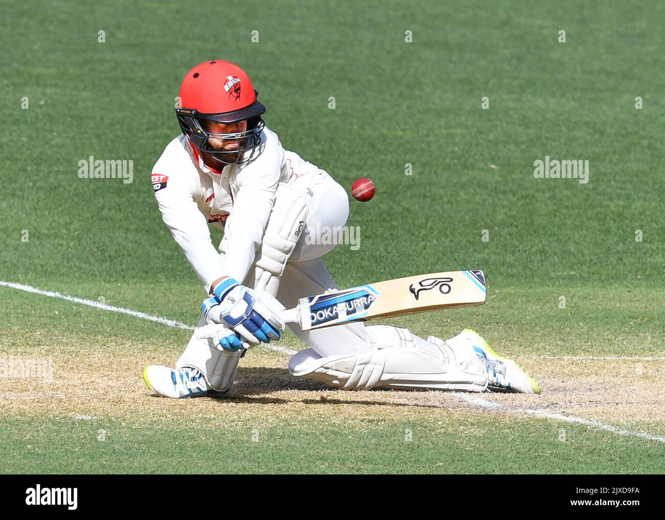 Alex Ross of the Redbacks during day 3 of the round 6 JLT cricket match ...