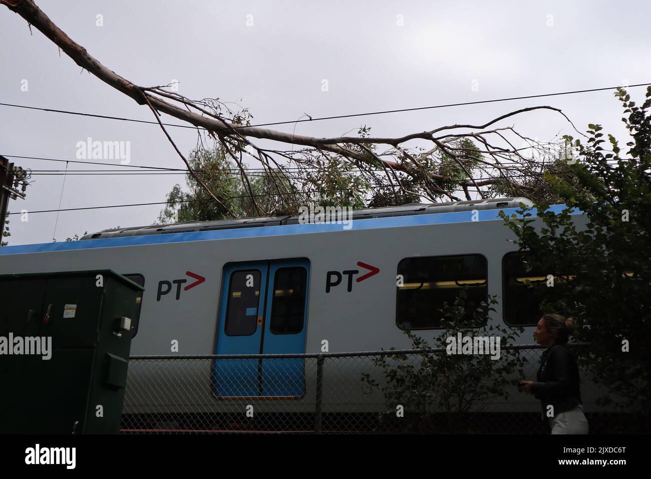 Tree branches are seen on top of a Metro train outside Jolimont station ...