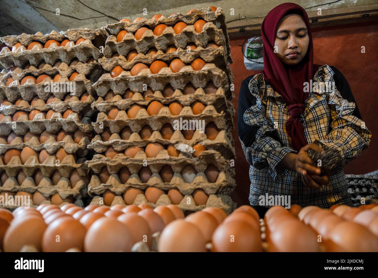 Egg traders hi-res stock photography and images - Alamy
