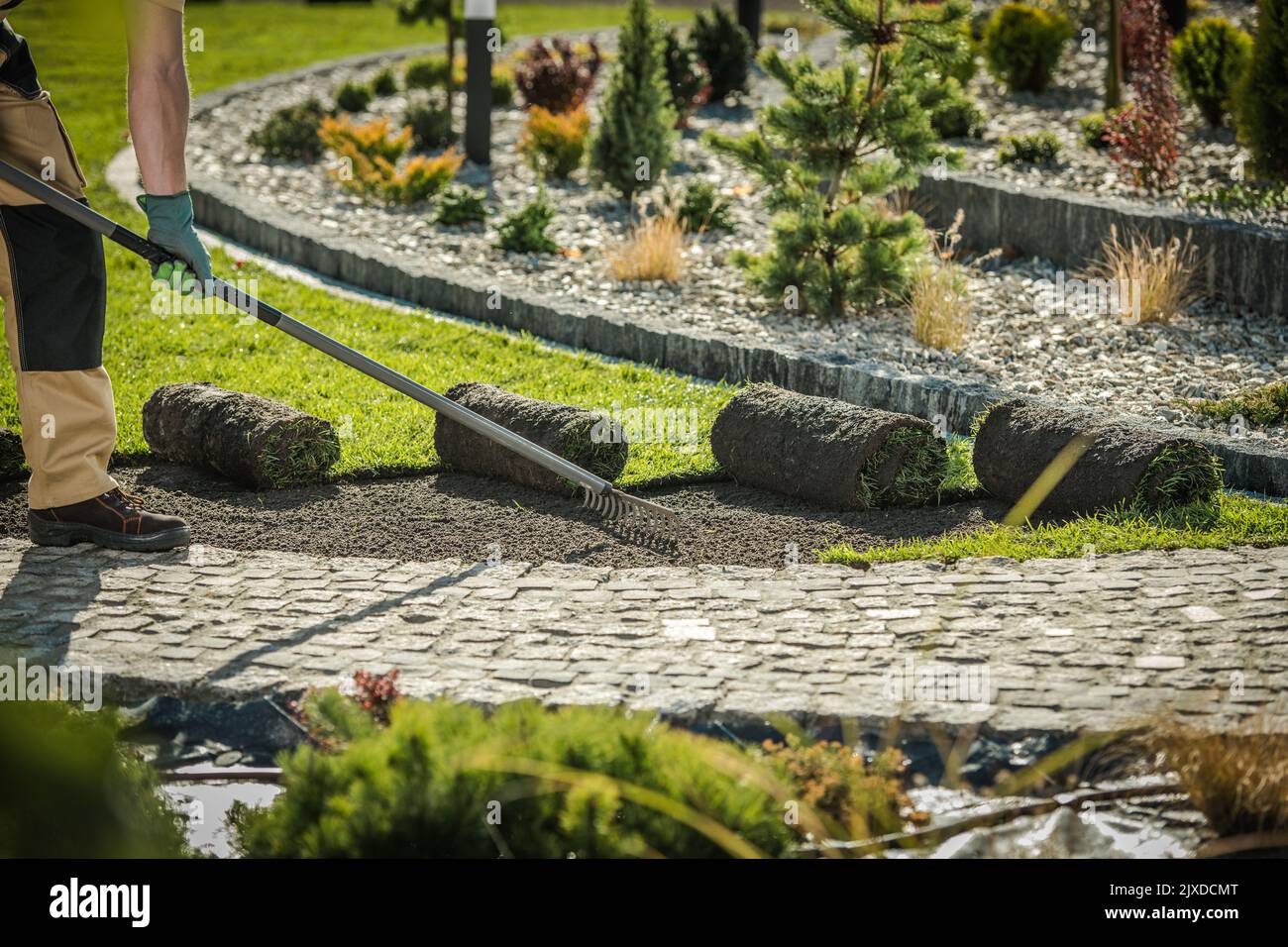 Gardener Raking and Leveling Going with Soil Rake Before Rolling Out ...