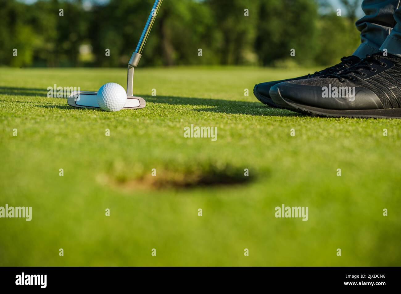 Closeup of Golfer Standing on a Golf Course Holding Putter in Position ...