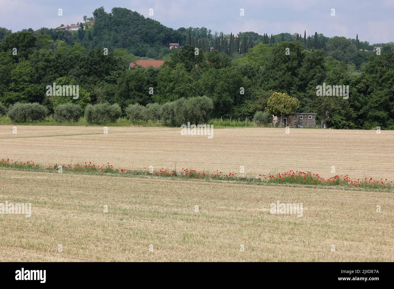 Impressionen aus der Comune di Padenghe Stock Photo - Alamy