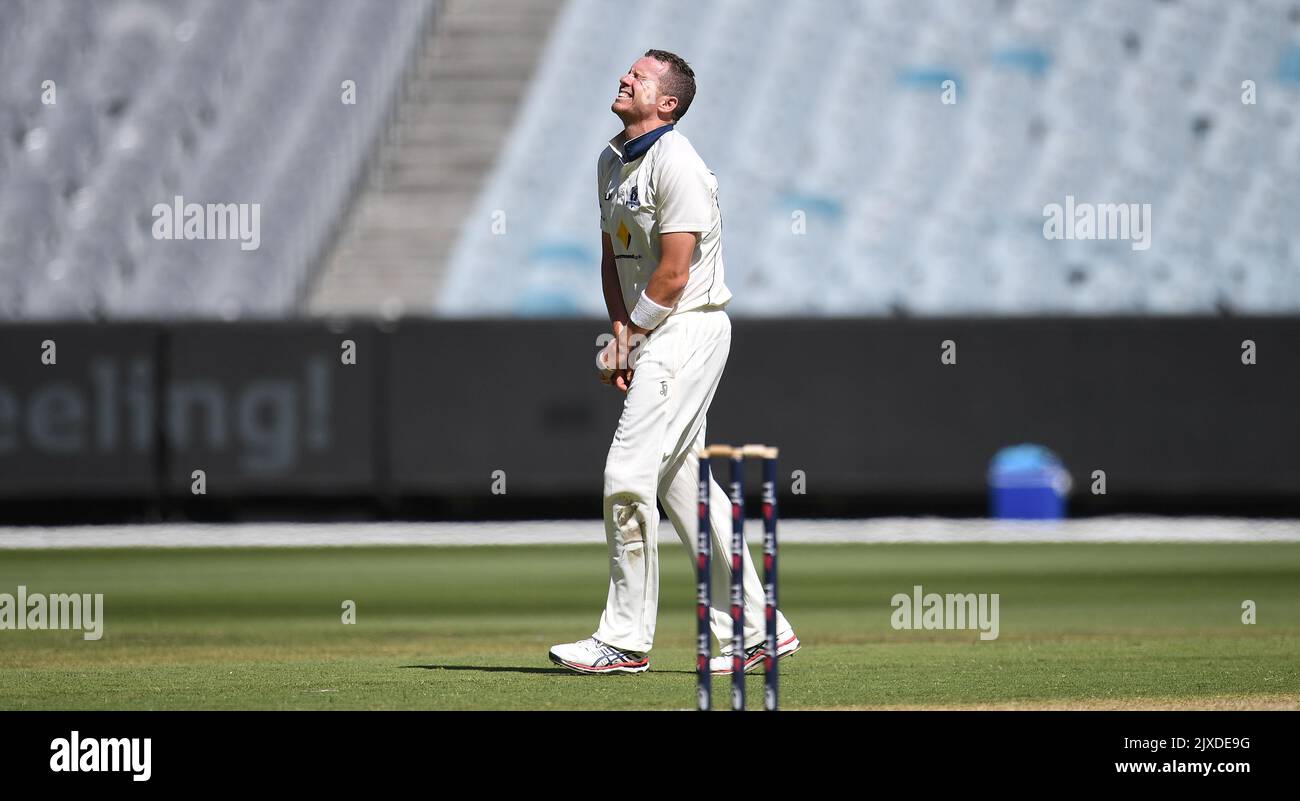 Peter Siddle of Victoria reacts after injury his finger during day one ...