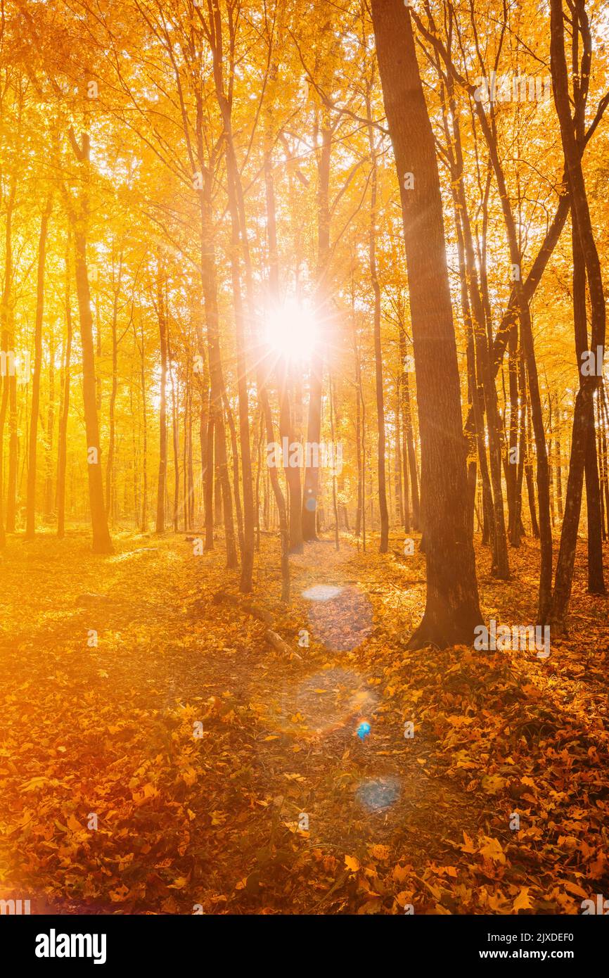Time lapse scenery sunset colors hi-res stock photography and images ...