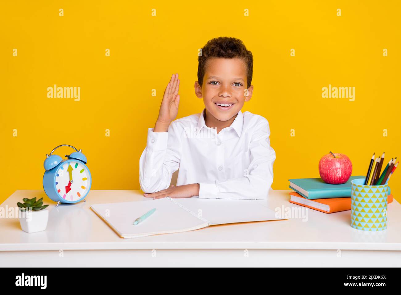 Portrait of clever positive person raise arm know answer desktop ...