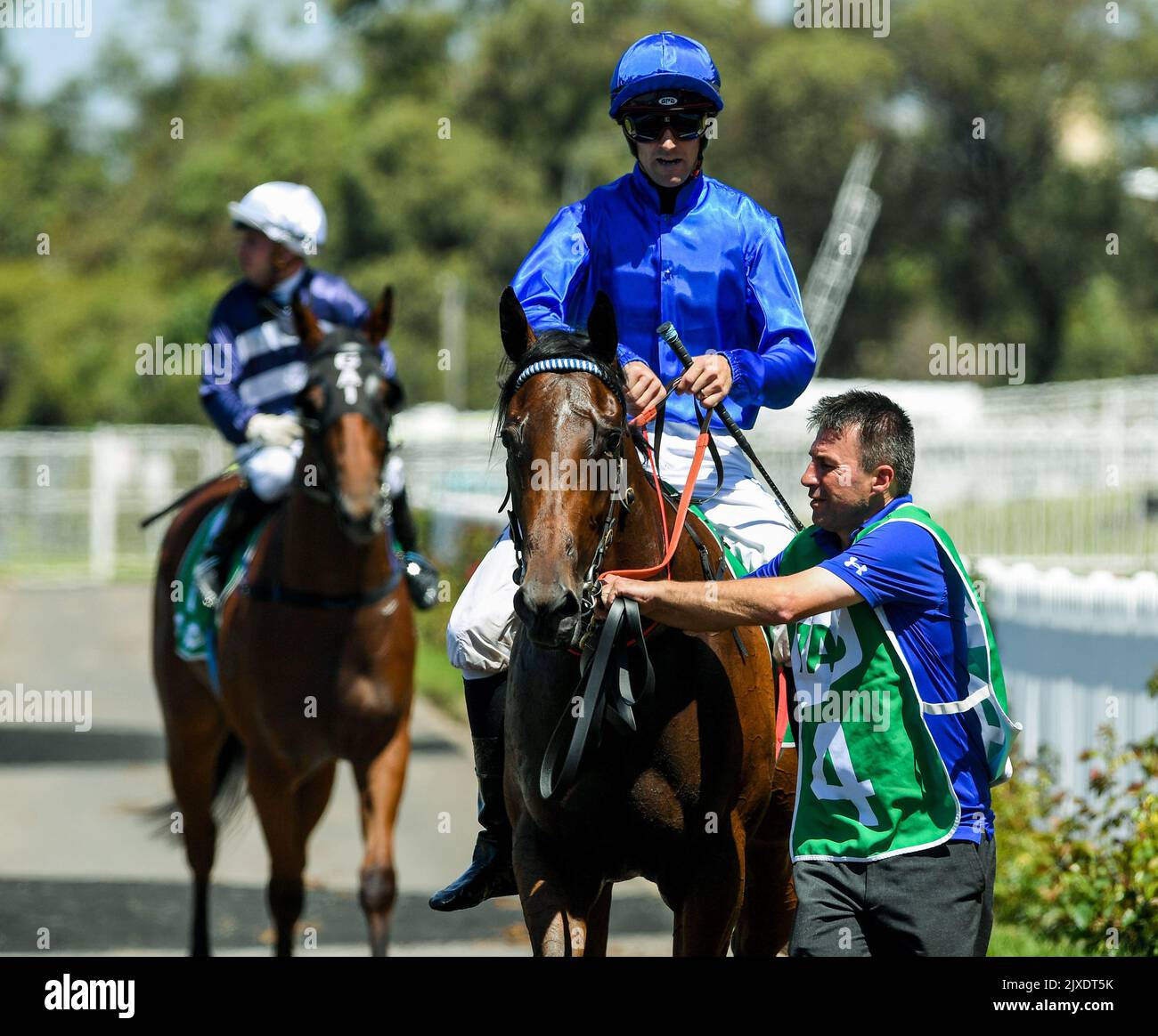 Jockey Tye Angland riding Cristobal returns to scales to win race 2 the ...