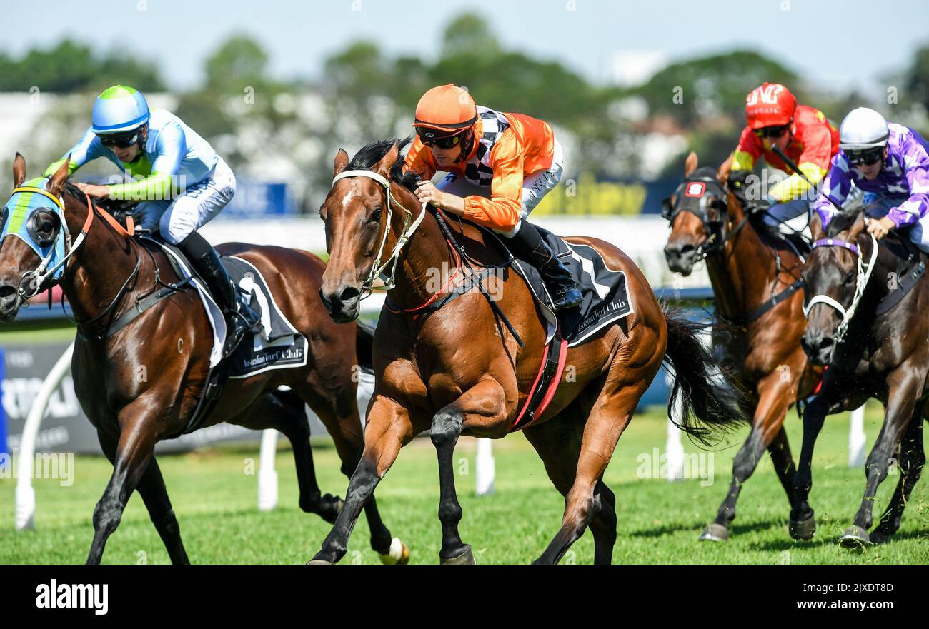 Jockey Tye Angland (centre) riding All Too Soon to win race 3 #THERACES ...