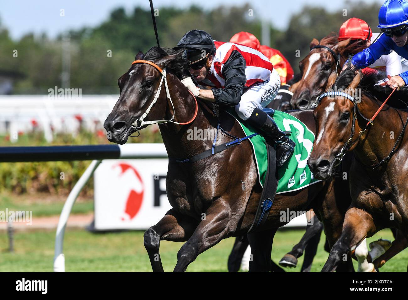 Jockey Brenton Avdulla (centre) riding Renewal to win race 4 the TAB ...