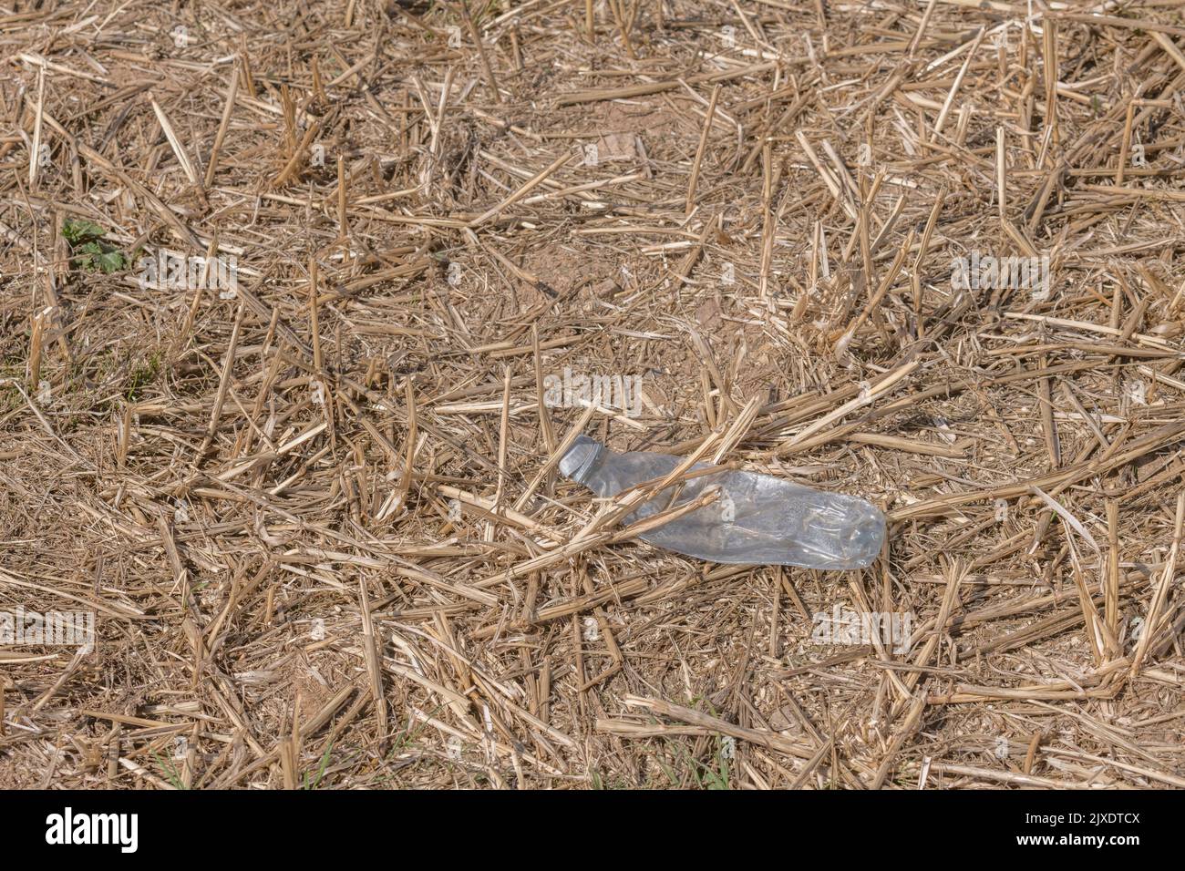 PTFE plastic soft drink bottle discarded in a recently cropped field ...