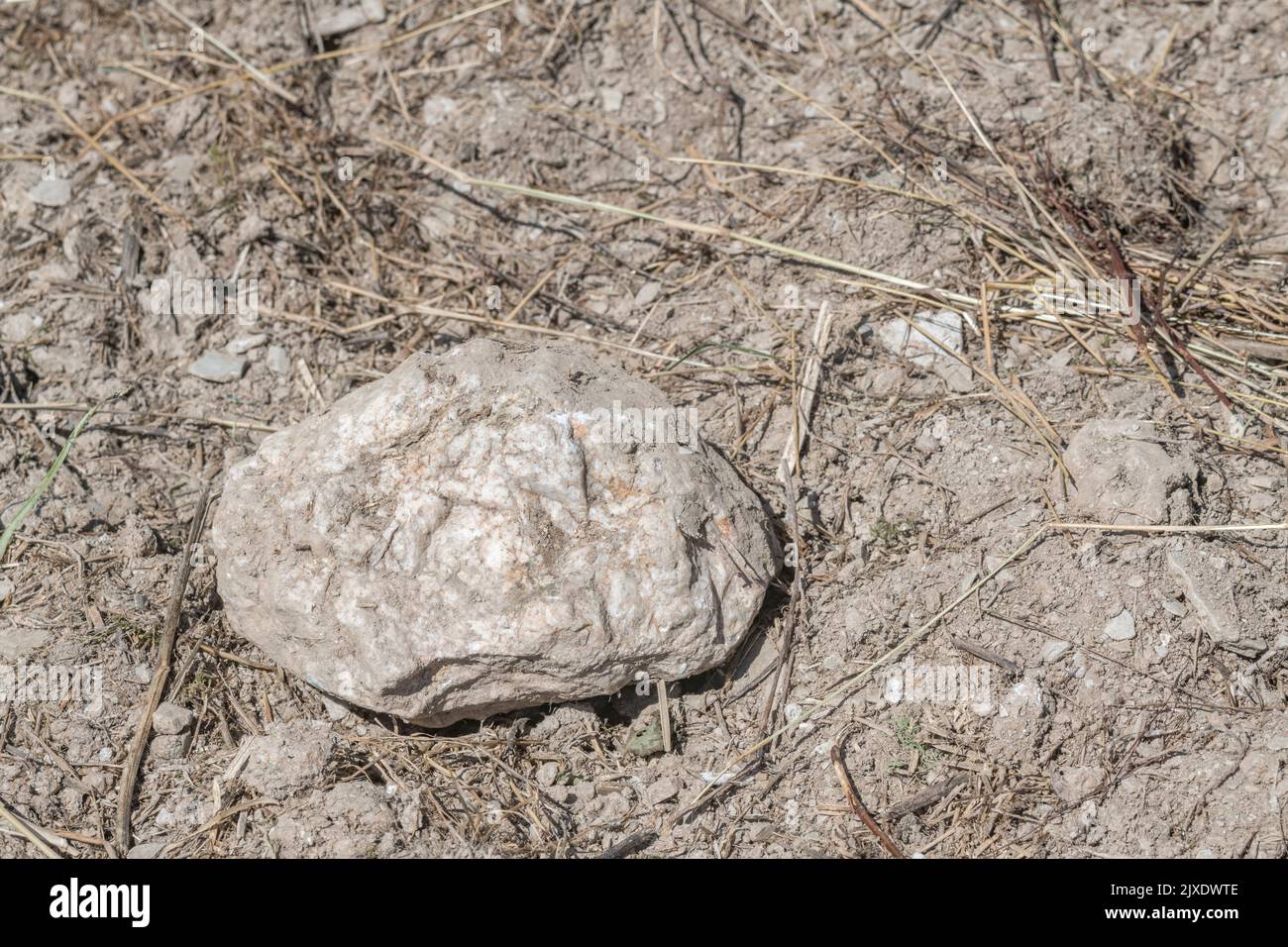 Solitary isolated quartz-type rock on the surface of a recently ...