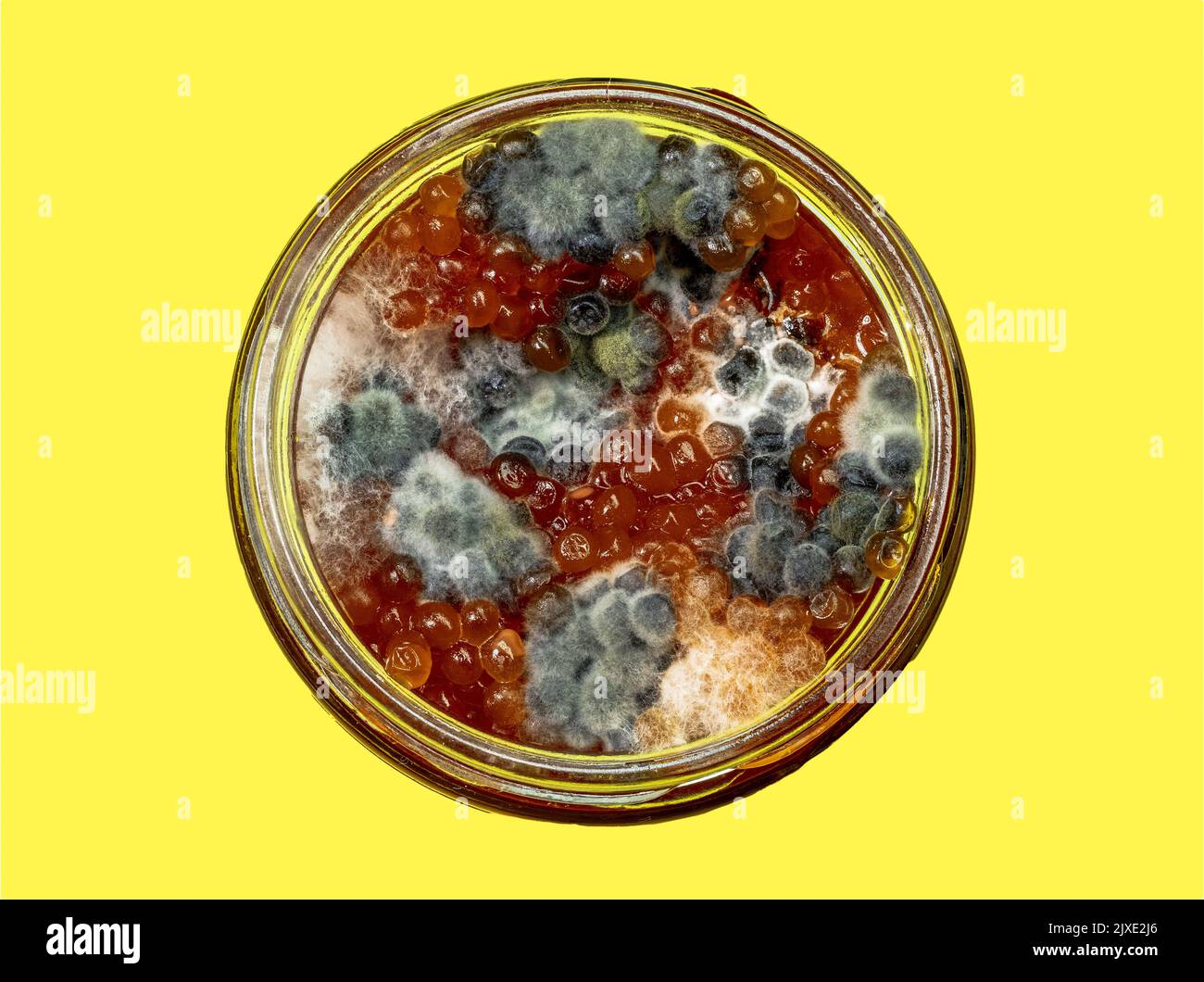 mold on red fish roe, macro photo above many details, yellow background ...