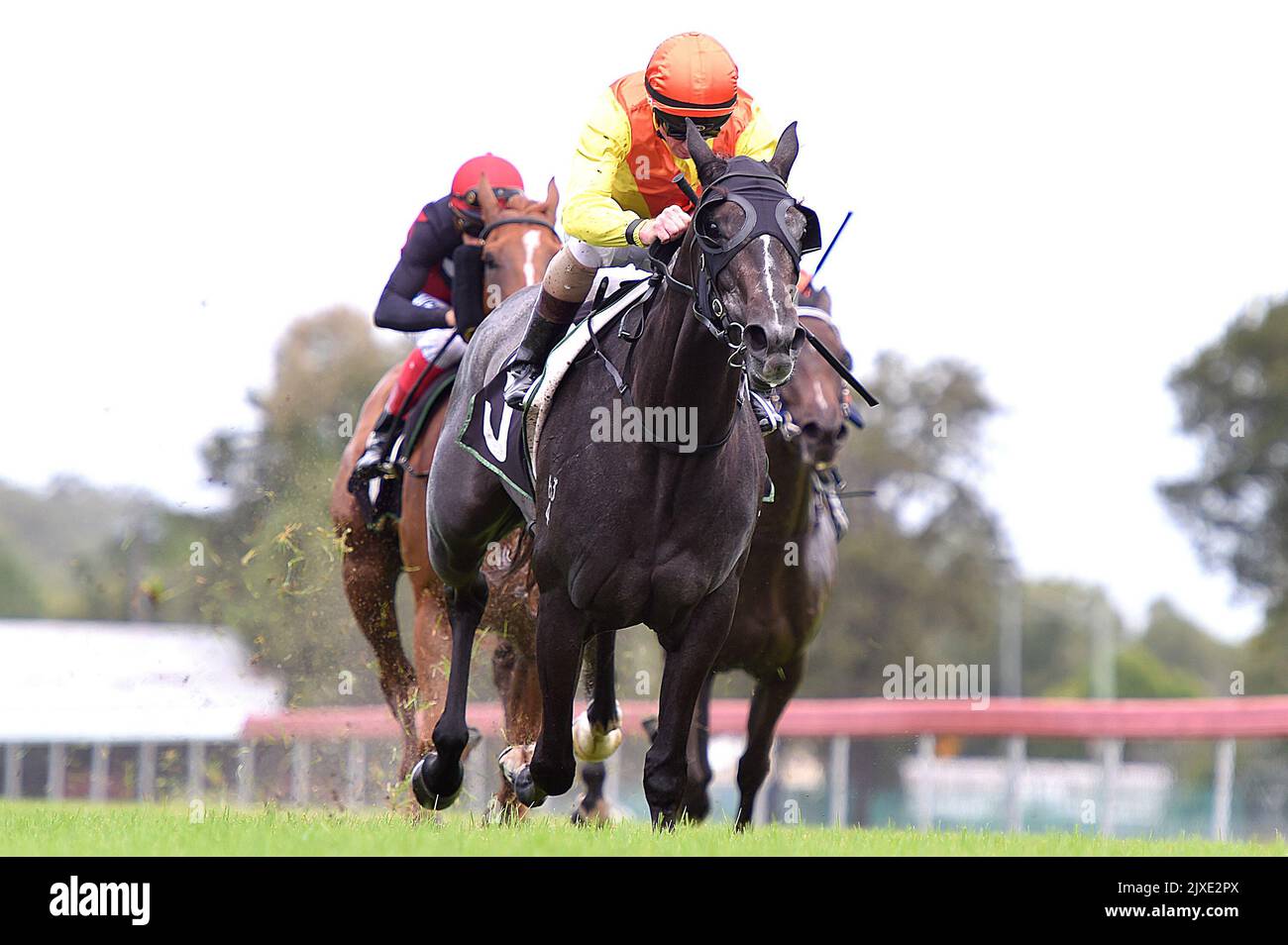 Jockey Jim Byrne rides Ponytales to victory in race 1, the QTIS Three ...