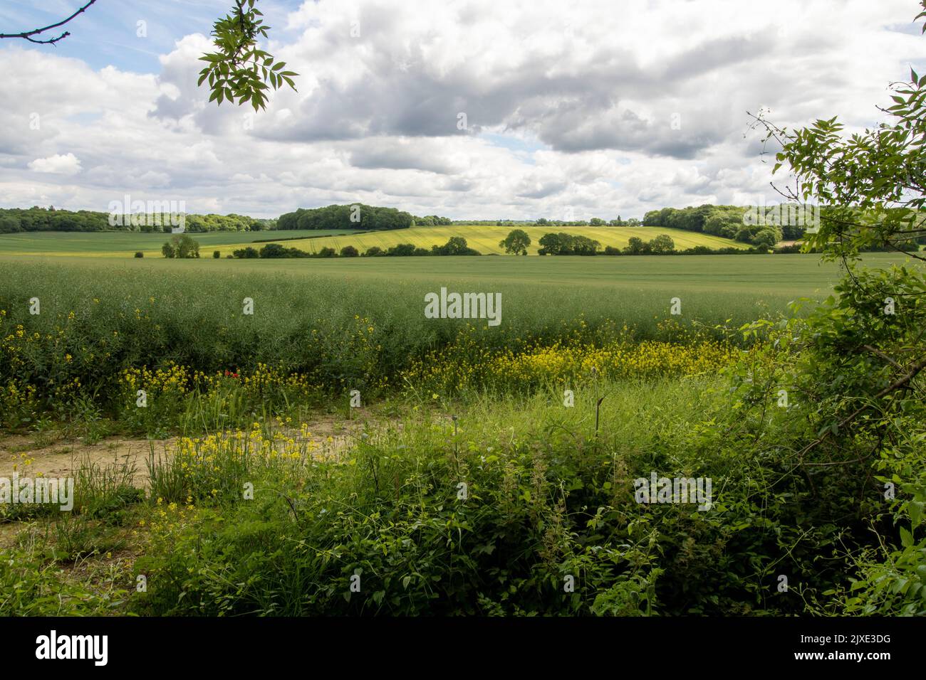 Classic landforms hi-res stock photography and images - Alamy