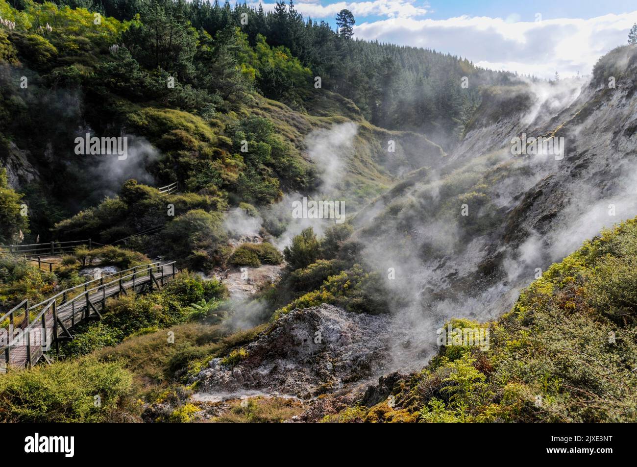 Steam drifting from some of the hot springs in the Wairakei Natural ...