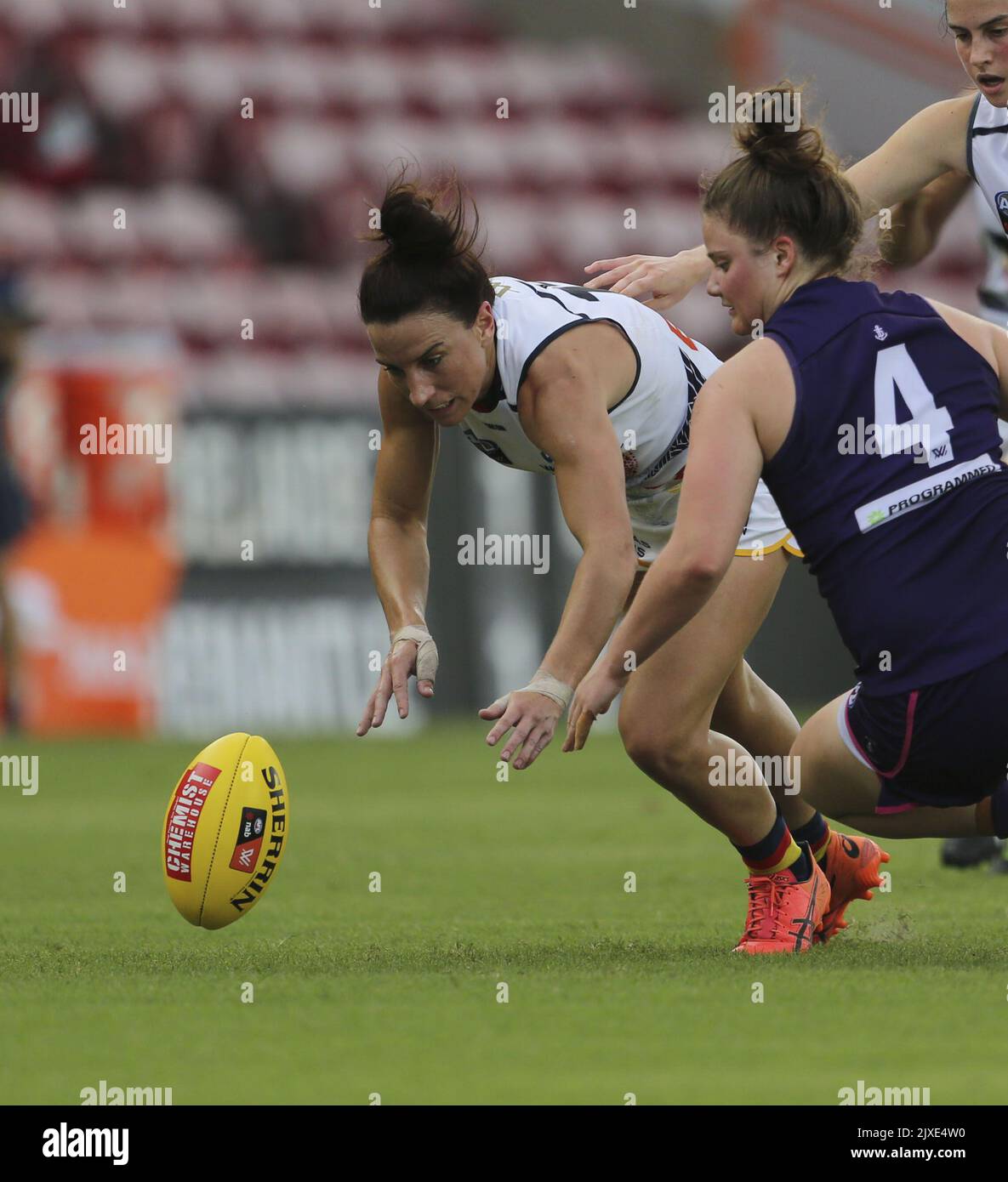 Annie Hatchard of the Crows (left) and Lara Filocamo of the Dockers in ...