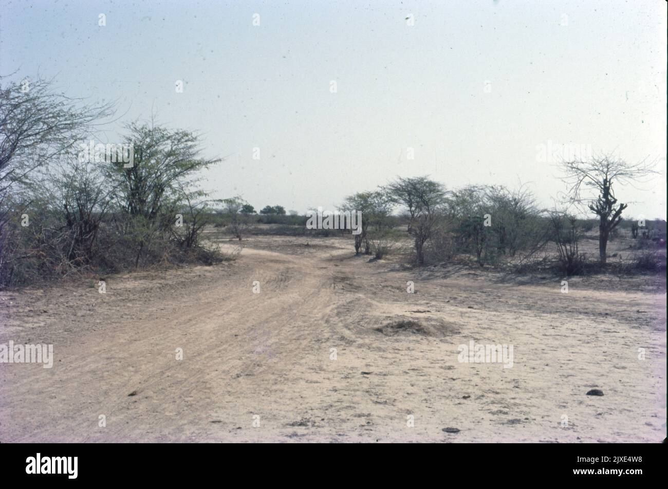 Desert at Hodka, Kutch, Gujrat Stock Photo - Alamy