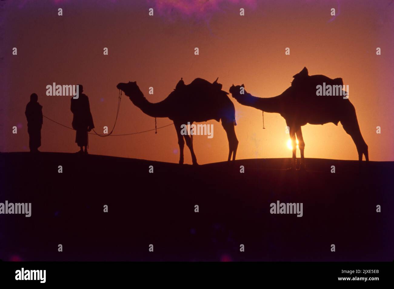 Camel keepers hi-res stock photography and images - Alamy