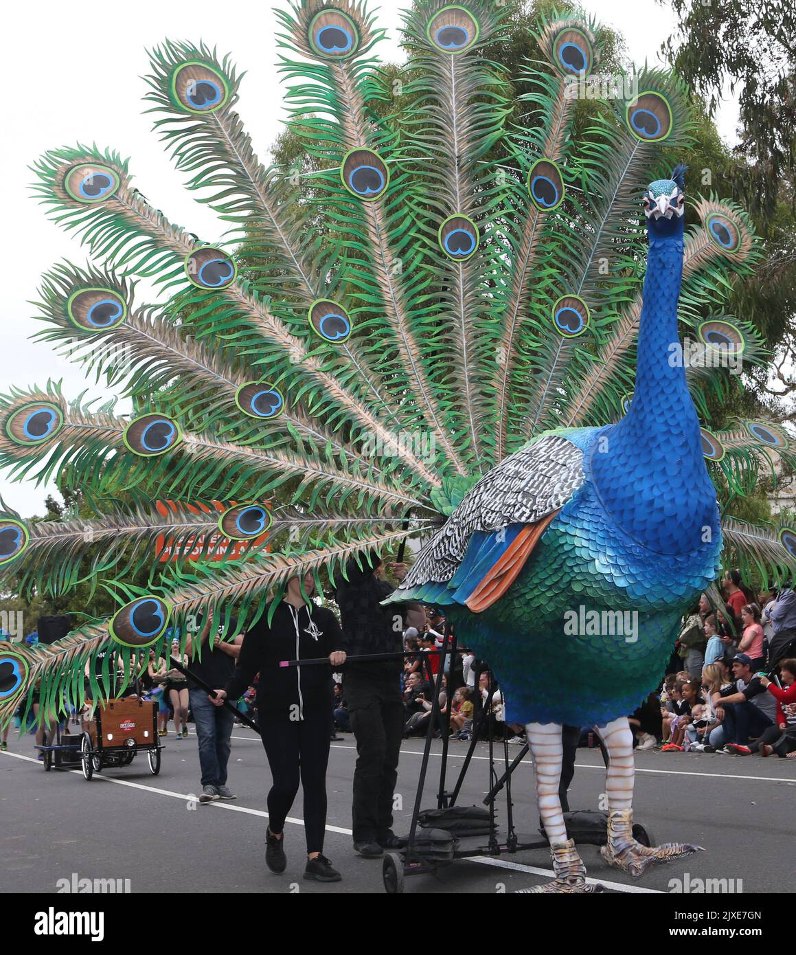 Participants in the 2018 Moomba parade in Melbourne, Monday, March 12 ...