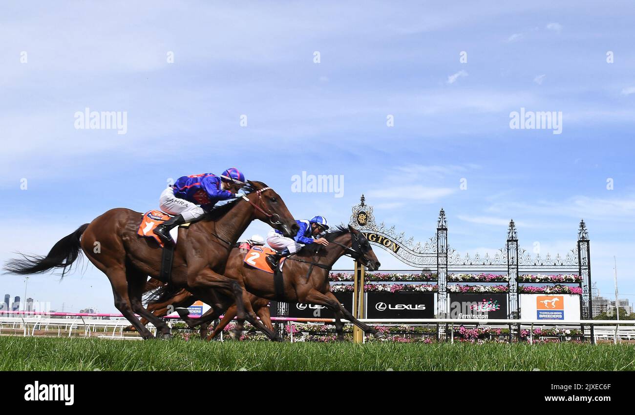 Jockey Damien Oliver rides the David and Ben Hayes and Tom Dabernig ...