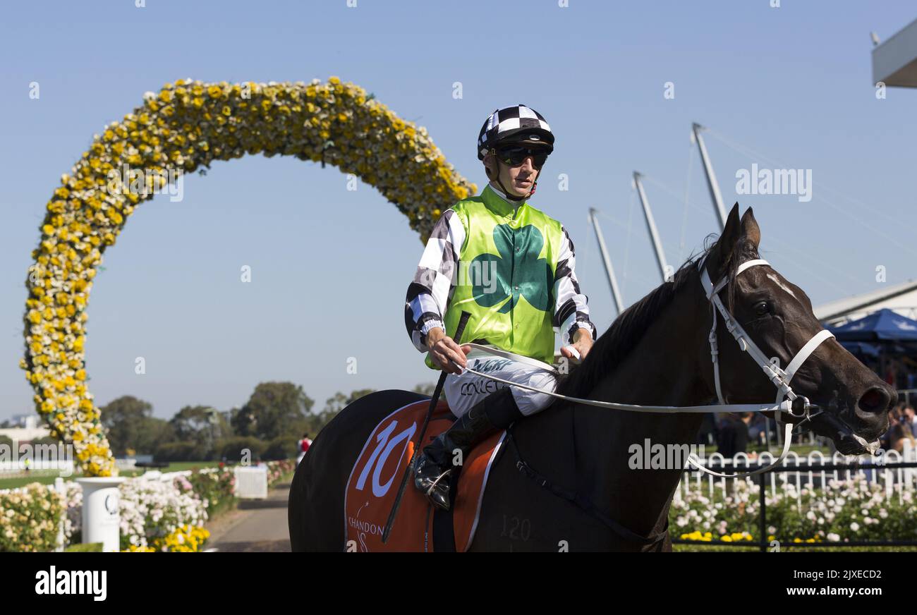 Jason Collett returns to scale after riding Unforgotten to win race 6 ...