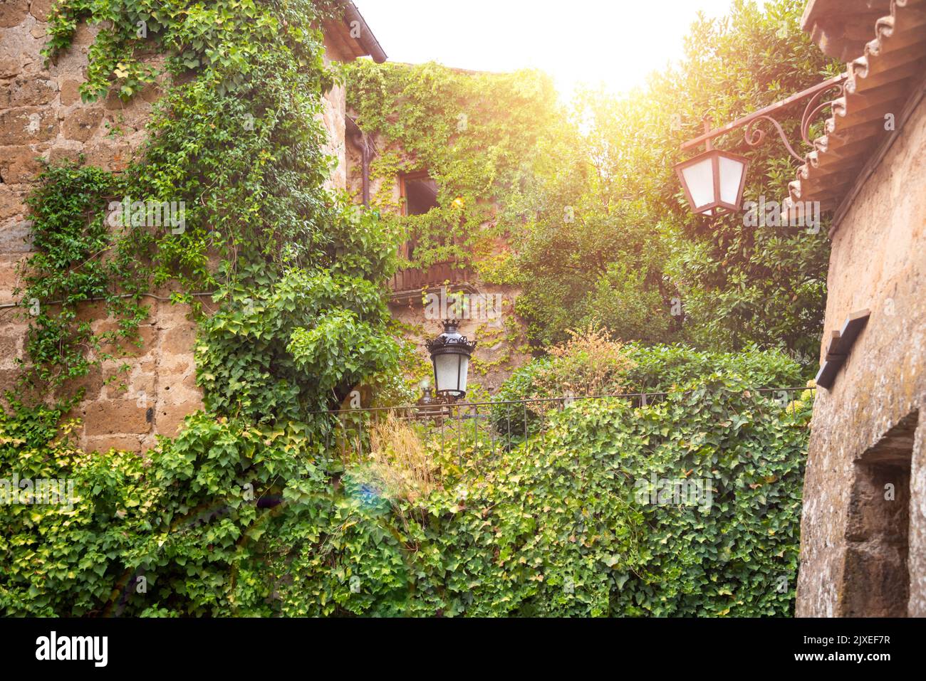 Picturesque building covered with green plants in medieval town in ...