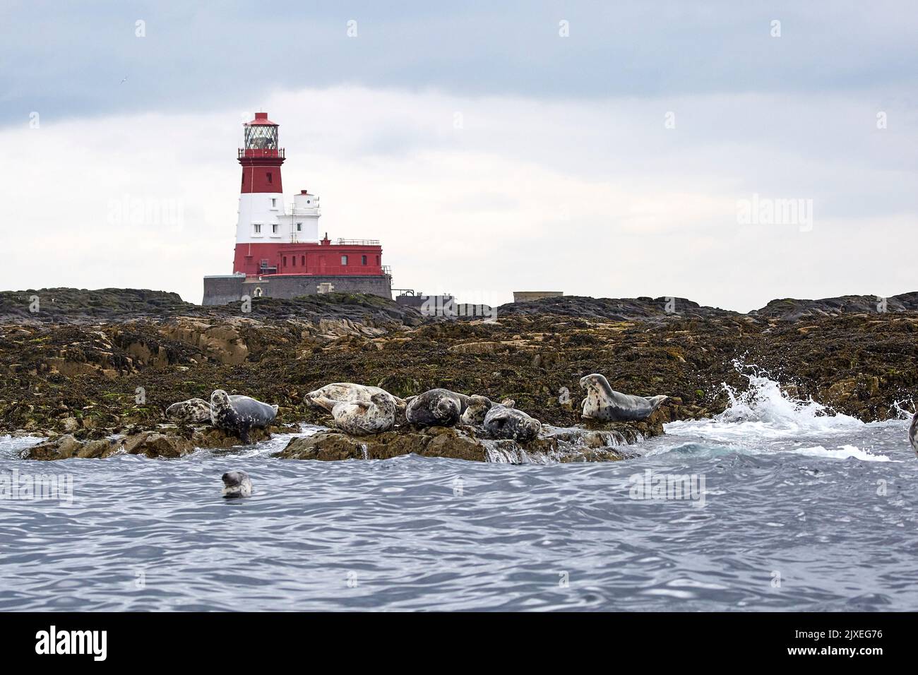 Longstone Lighthouse Outer Farne Island Stock Photo - Alamy
