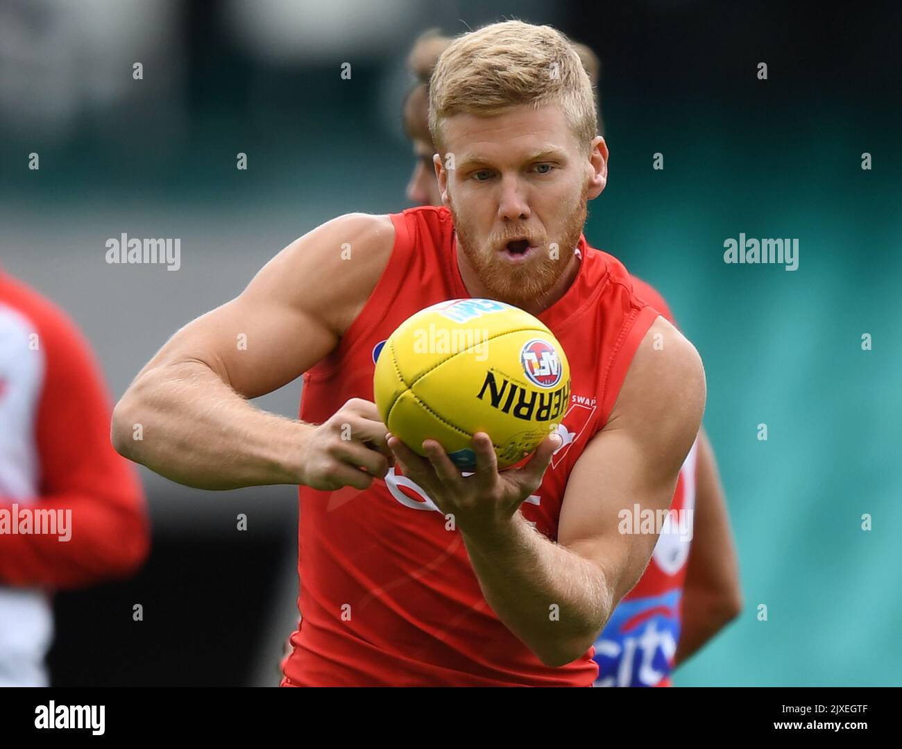 Dan Hannebery of the Sydney Swans during a team training session at the ...