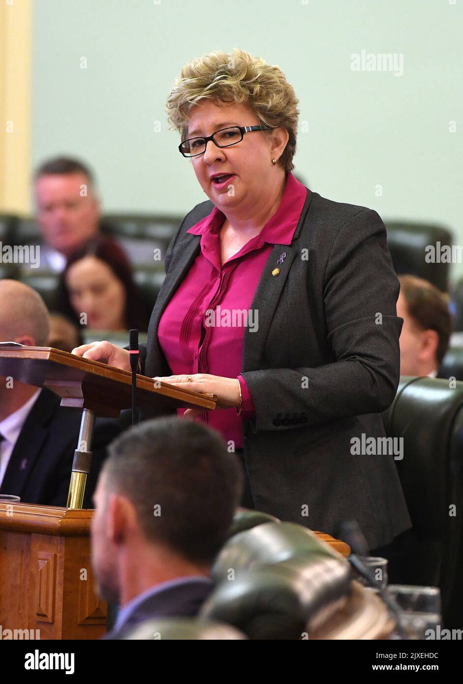 Queensland State Member for Mansfield Corrine McMillan delivers her ...
