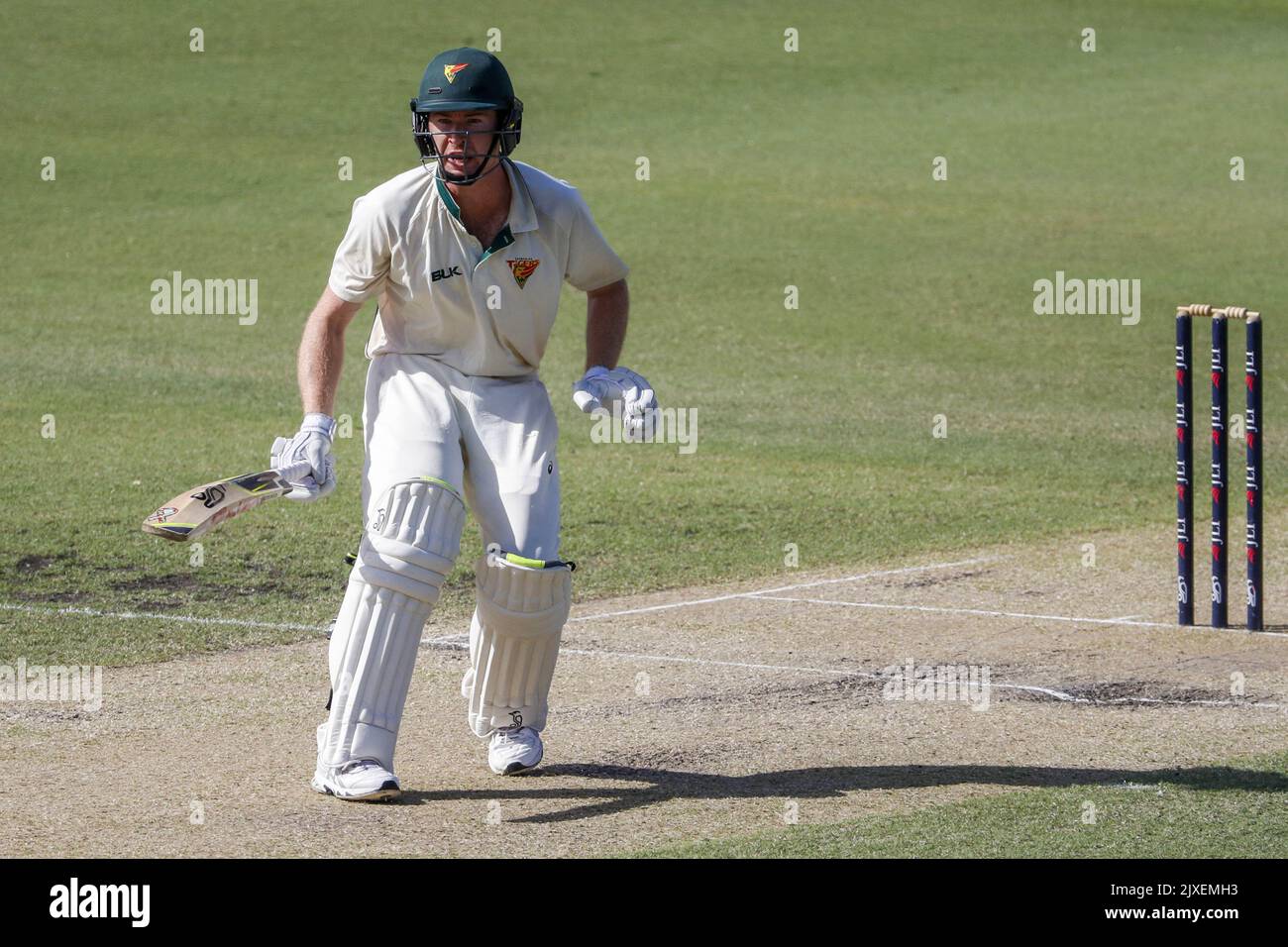 Tom Rogers of the Tigers in action during day three of the JLT cricket ...