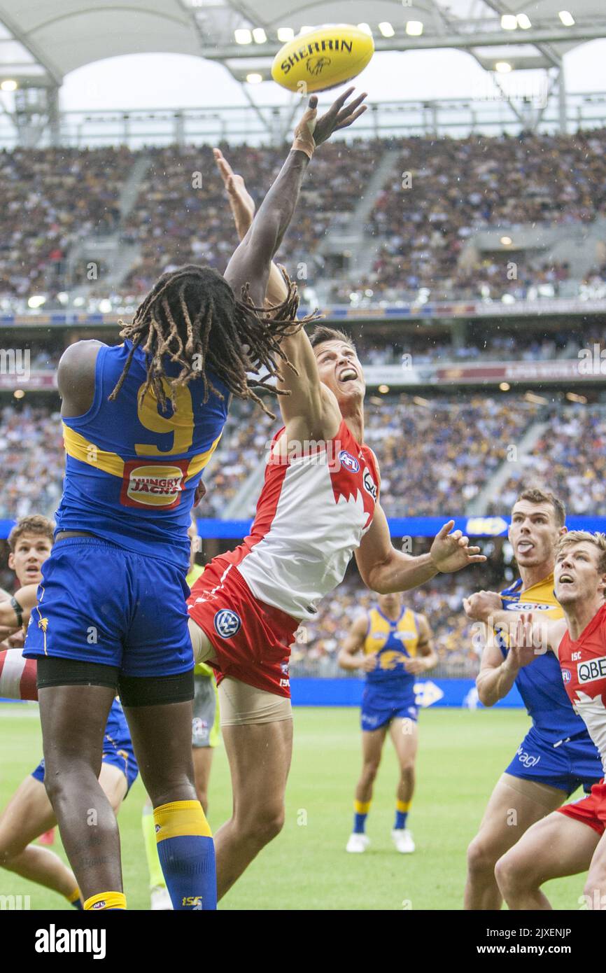 Sydney's Callum Sinclair and West Coast's Nic Naitanui in a ruck ...