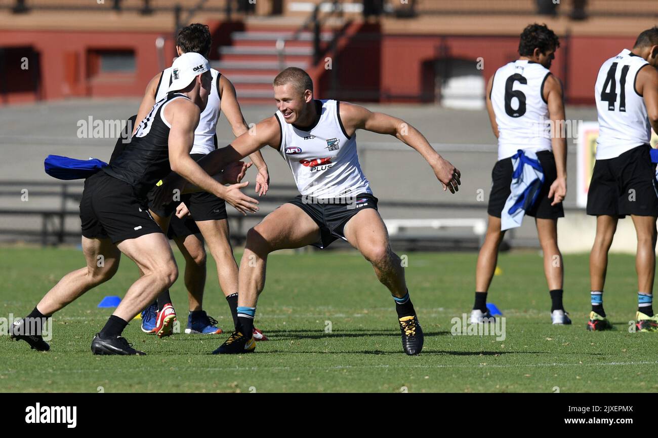 Tom Curly plays tag at the start of Port Adelaide Power AFL training at ...