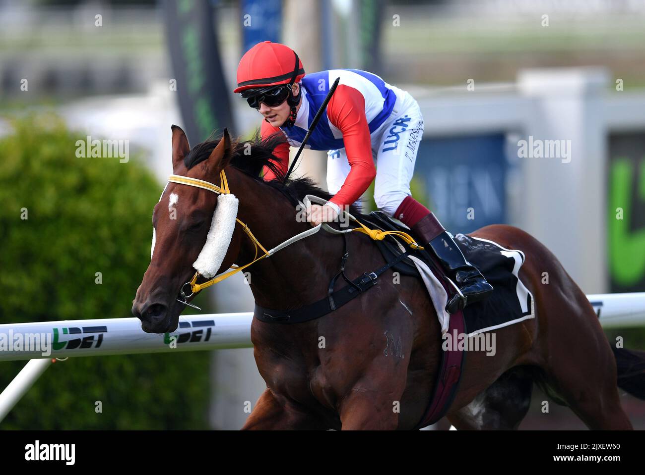 Jockey Taylor Marshall rides Mishani Hustler to win race 3, the Makers ...