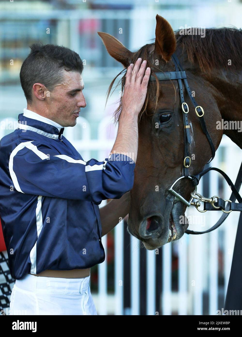 Jockey Billy Egan with Widgee Turf after claiming victory in the MyPunter.Com Victoria Handicap ...
